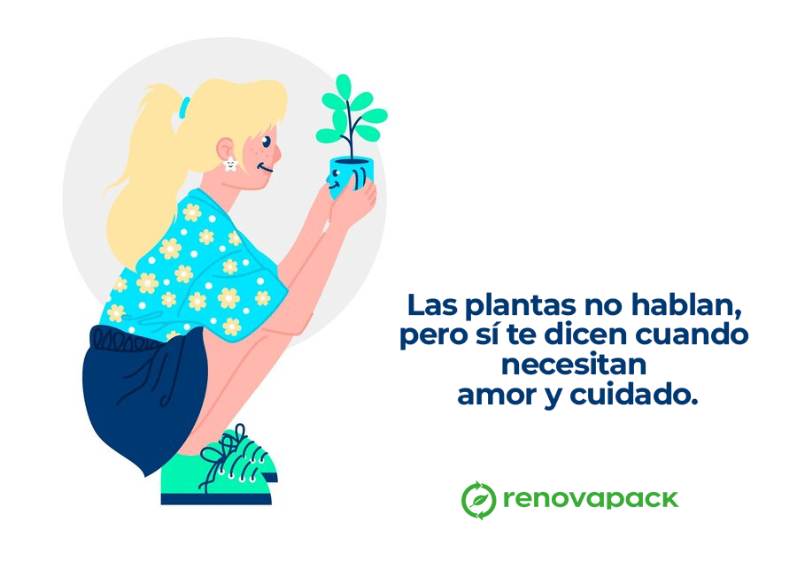 80 Frases Ecológicas que Despiertan la Conciencia Ambiental